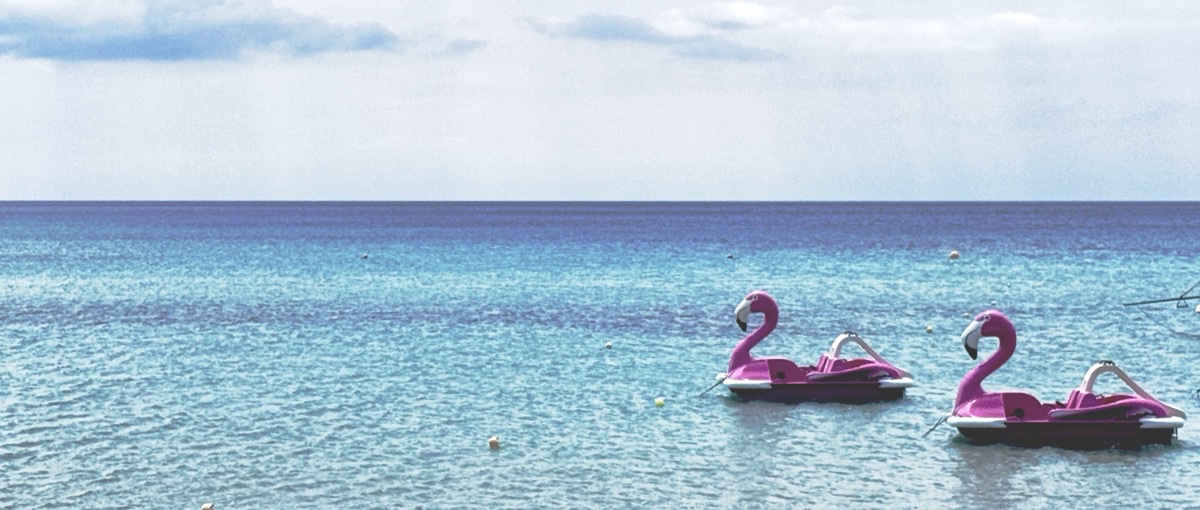 Flamingo – hafur.com